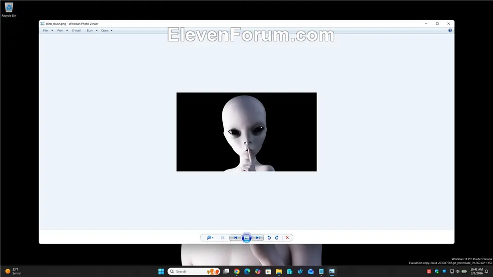 Reset Windows Photo Viewer Default Open Position and Size in Windows 11 ...