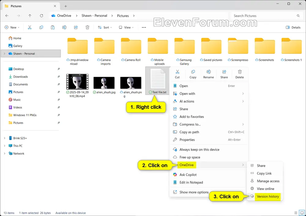 View, Delete, or Restore Files from OneDrive Version History | Windows ...