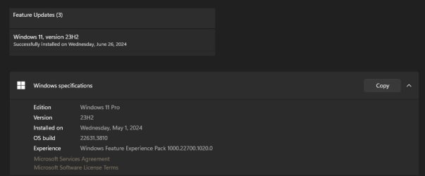 KB5039302 Windows 11 Cumulative Update Preview Build 22621.3810 (22H2 ...