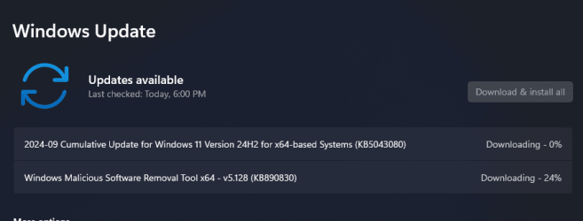 KB5043080 Windows 11 Cumulative Update build 26100.1742 (24H2) on ...