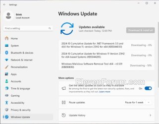 KB5044285 Windows 11 Cumulative Update Build 22621.4317 (22H2) and ...