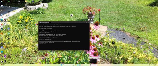 KB5044285 Windows 11 Cumulative Update Build 22621.4317 (22H2) and ...