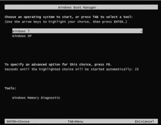Boot manager appear but not graphics | Windows 11 Forum