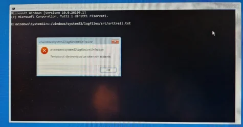 WinRE boot loop | Windows 11 Forum