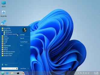 WinRE boot loop | Windows 11 Forum