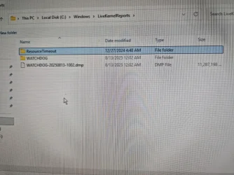 WinRE boot loop | Windows 11 Forum