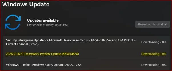 KB5074828 .NET Framework 3.5 and 4.8.1 Cumulative Update Preview for ...