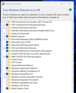 Windows Hypervisor Platform? | Windows 11 Forum