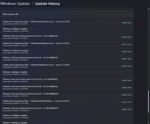 Online Service Experience Pack 3.1.0.578 for Windows 11 Insider Beta ...