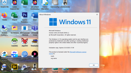 Hasleo WintoUSB one snag | Windows 11 Forum