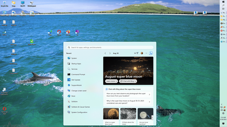 Need help with Start Menu search bar behavior after Windows 11 ...