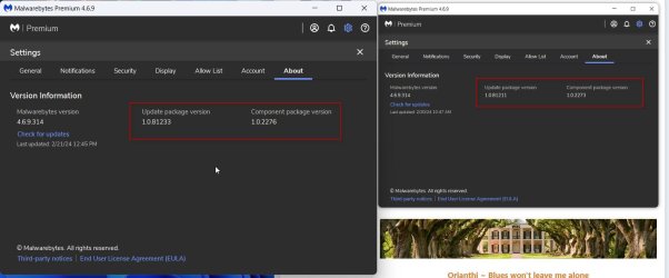 Latest Version of Malwarebytes | Page 21 | Windows 11 Forum